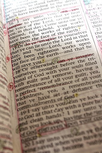 Scripture Study Poll, I Need Your Help!- The Red Headed Hostess