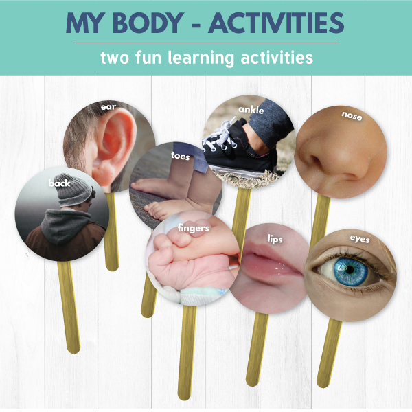 Primary 1 Lesson 16: I Have a Body - The Red Headed Hostess