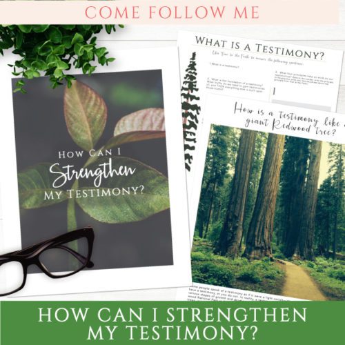 How Can I Increase My Testimony? 4 Teaching Ideas by John Hilton III