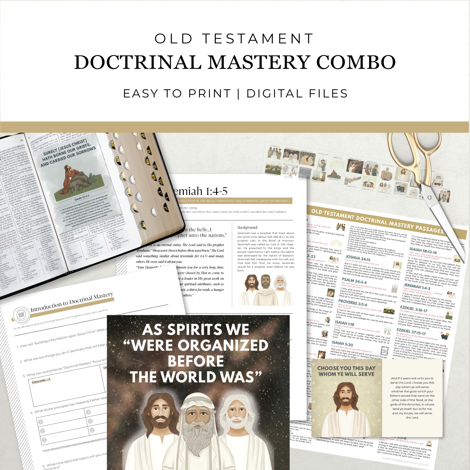 Old Testament Doctrinal Mastery - COMBO (Digital Downloads) - The Red ...