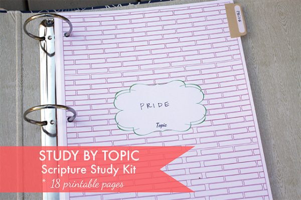 Build Your Own Scripture Study Kits- The Red Headed Hostess