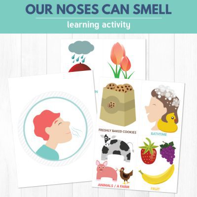 Primary 1 Lesson 20: I Am Thankful That I Can Smell and Taste - The Red ...