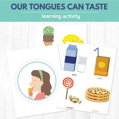 Primary 1 Lesson 20: I Am Thankful That I Can Smell and Taste - The Red ...