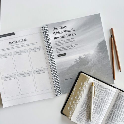 New Testament Guidebook - The Red Headed Hostess