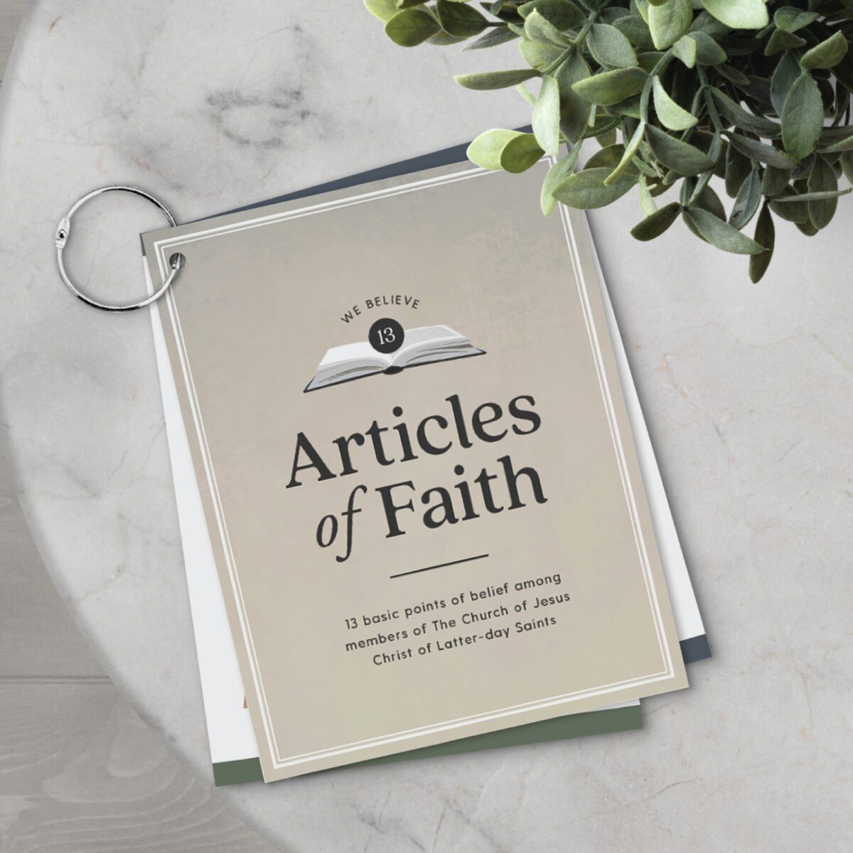 2023 Family Favorites Bundle - The Red Headed Hostess