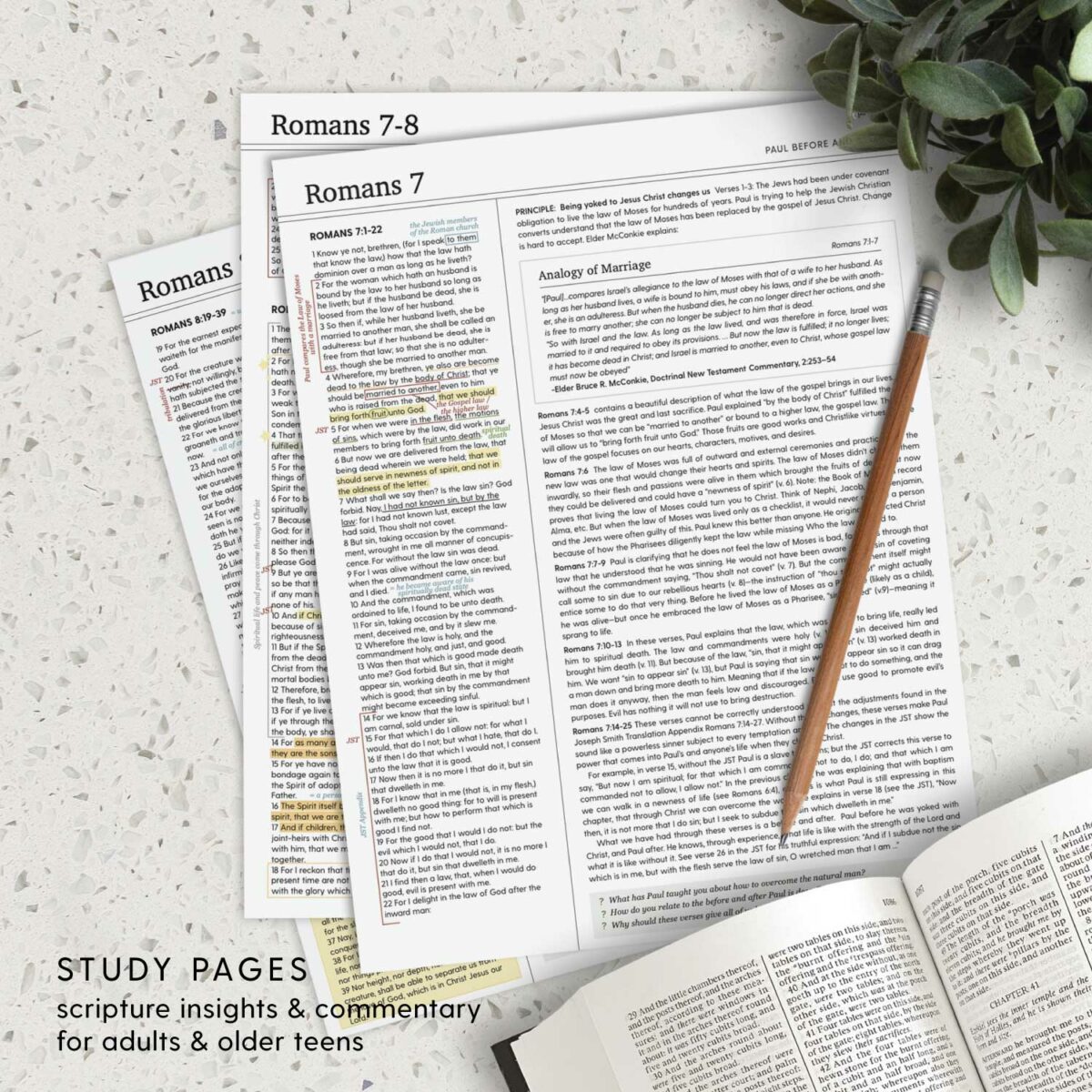 Romans 7-16 - The Red Headed Hostess