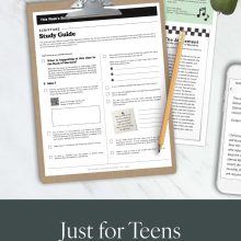 Alma 5-7 - The Red Headed Hostess