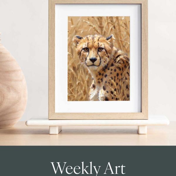 Alma 30-31 - The Red Headed Hostess